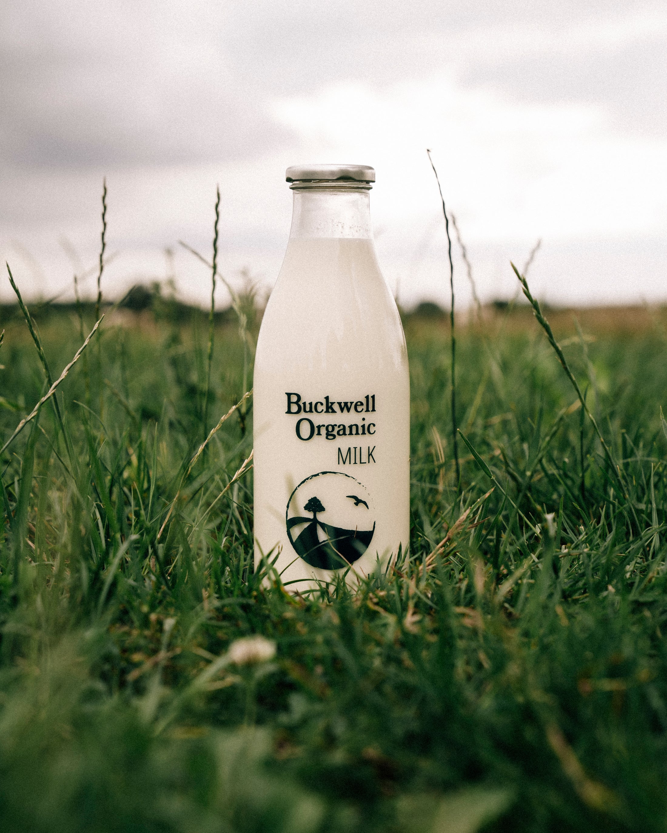 Organic Raw Milk (Includes Delivery) – Buckwell Organic