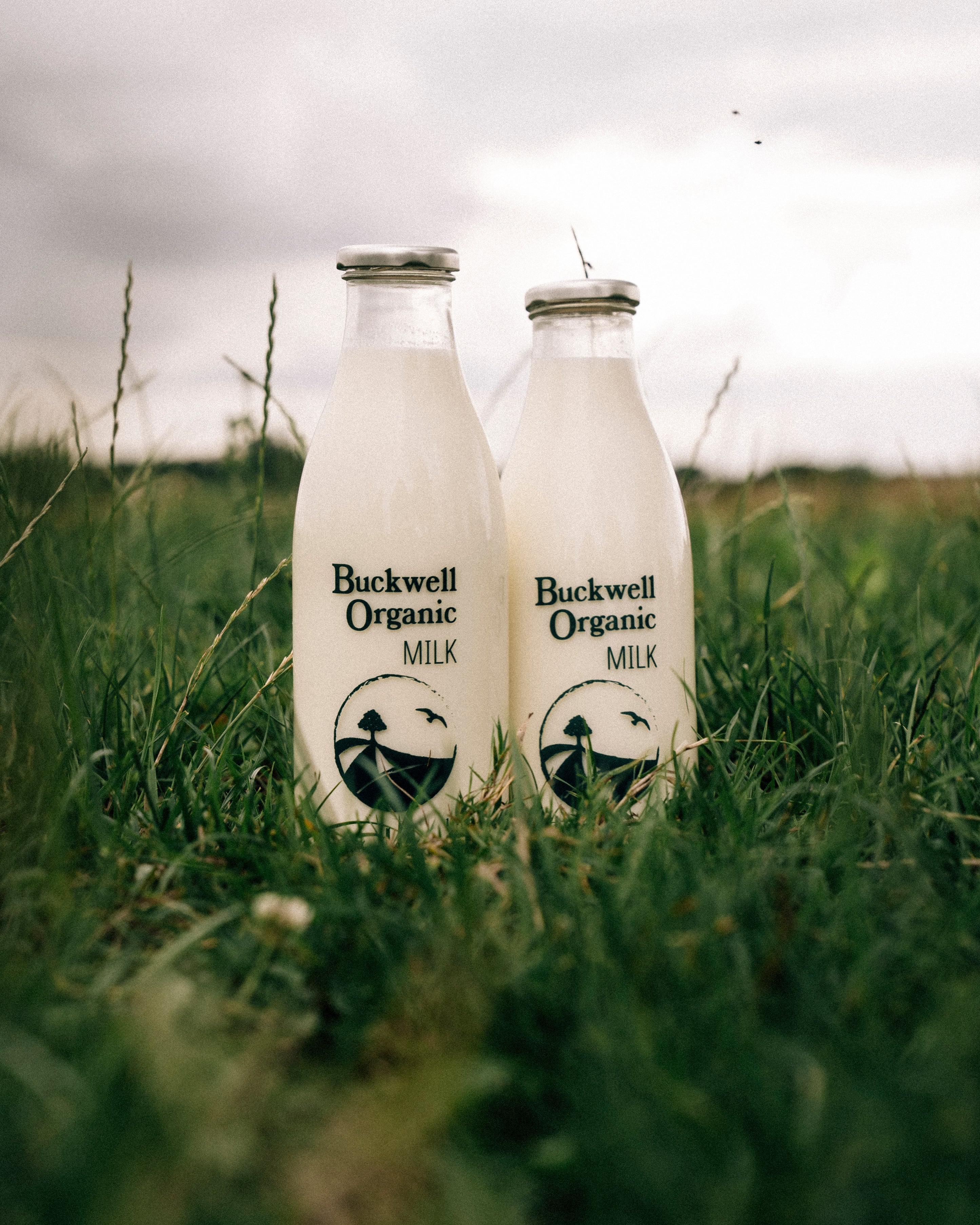 Organic Raw Milk (Includes Delivery) – Buckwell Organic