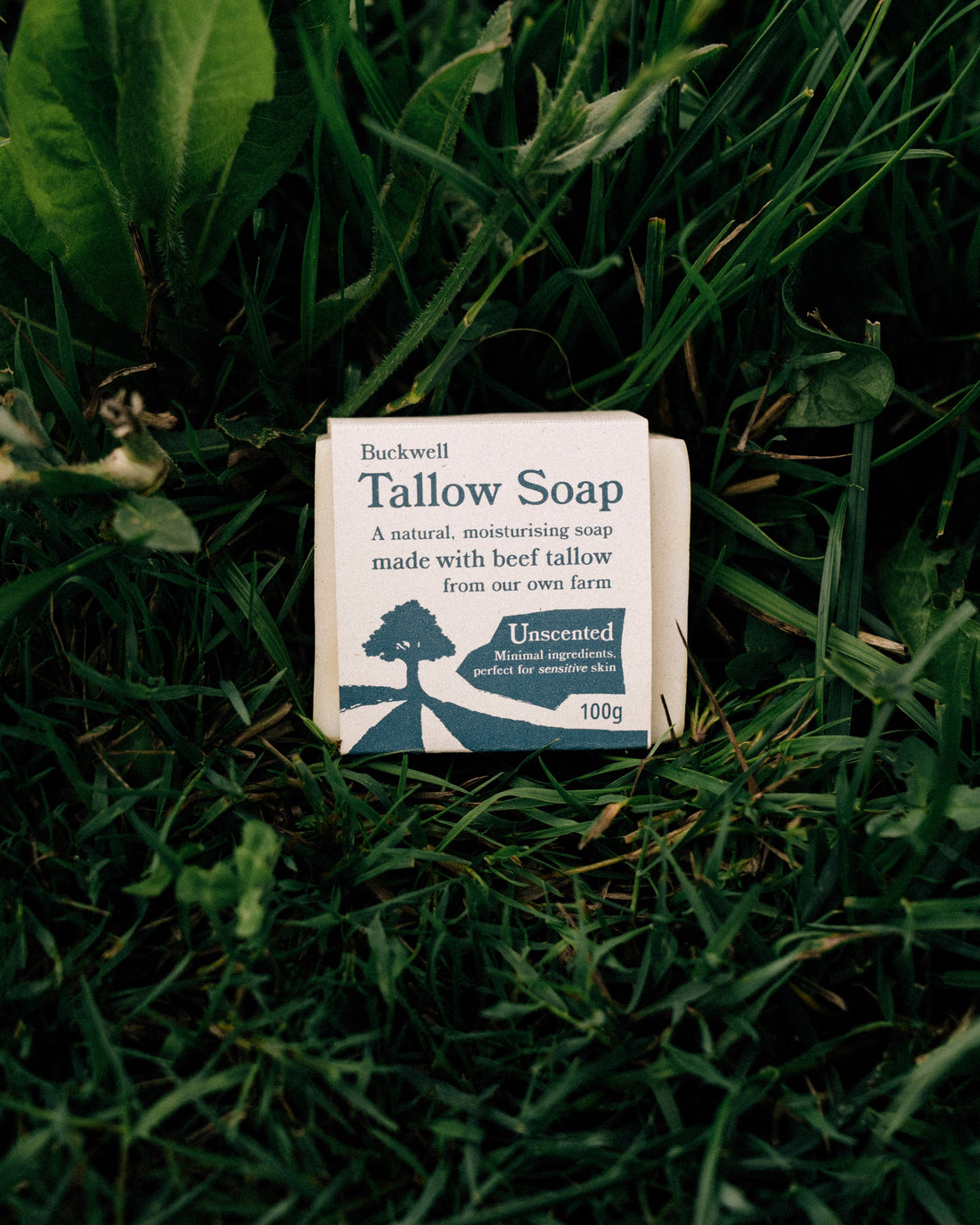 Tallow Soap – Buckwell Organic